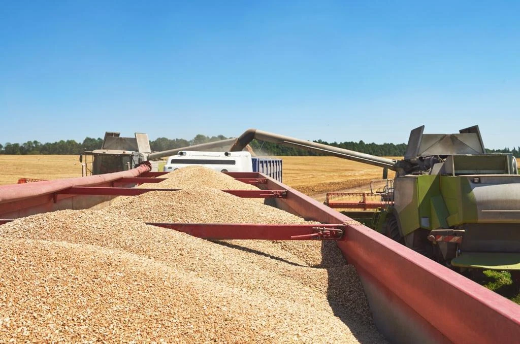 World: Record grain harvest in Brazil