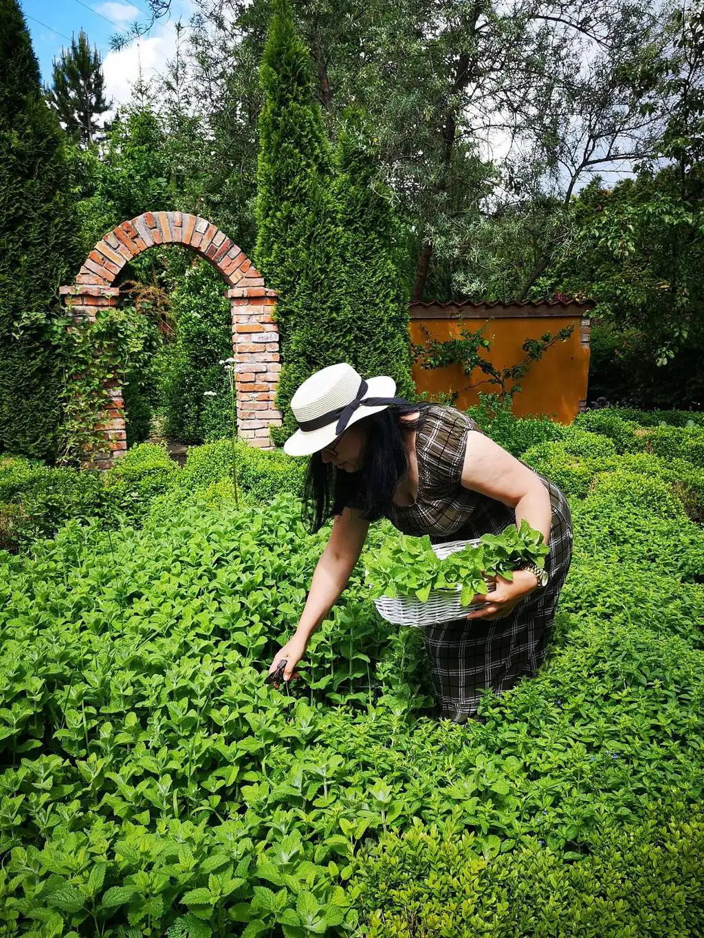 Magdalena Markiewicz i jej innowacje w ogrodniczym świecie