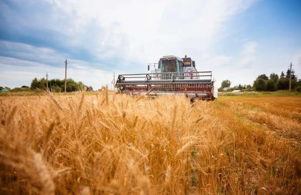 World: Regenerative farming can save farms