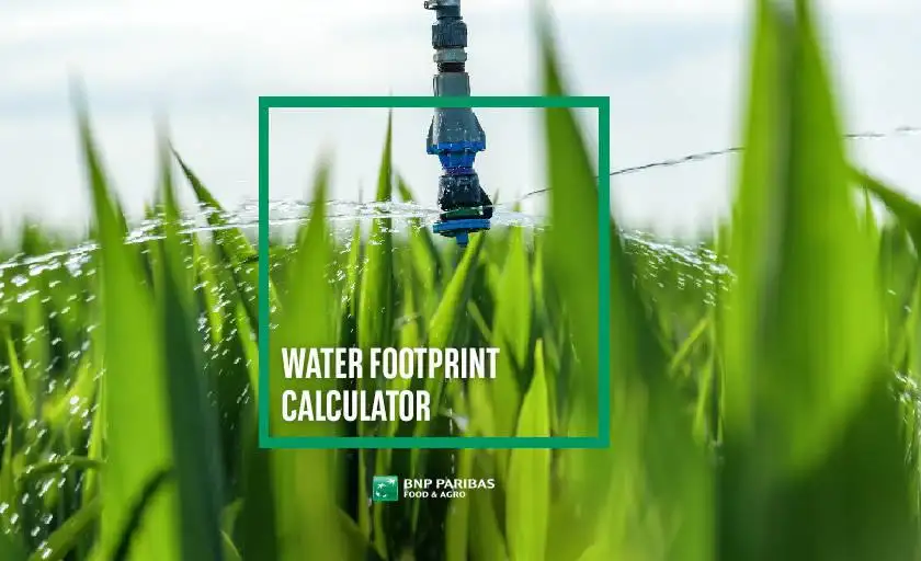 Check the water balance of your crop - the first water footprint ...