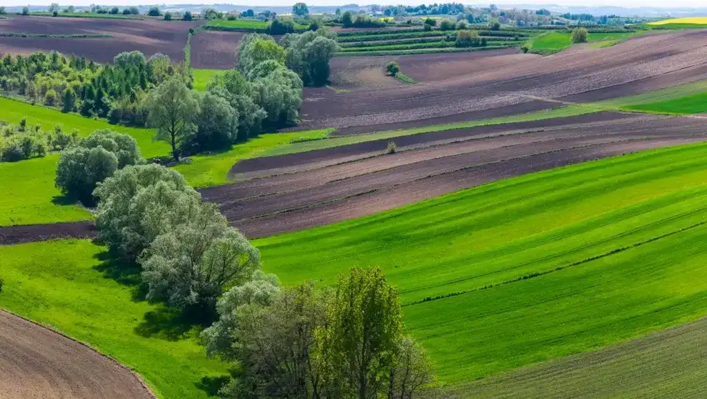 Poland: State of Polish agriculture