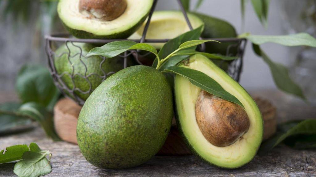 Morocco: Avocado crops