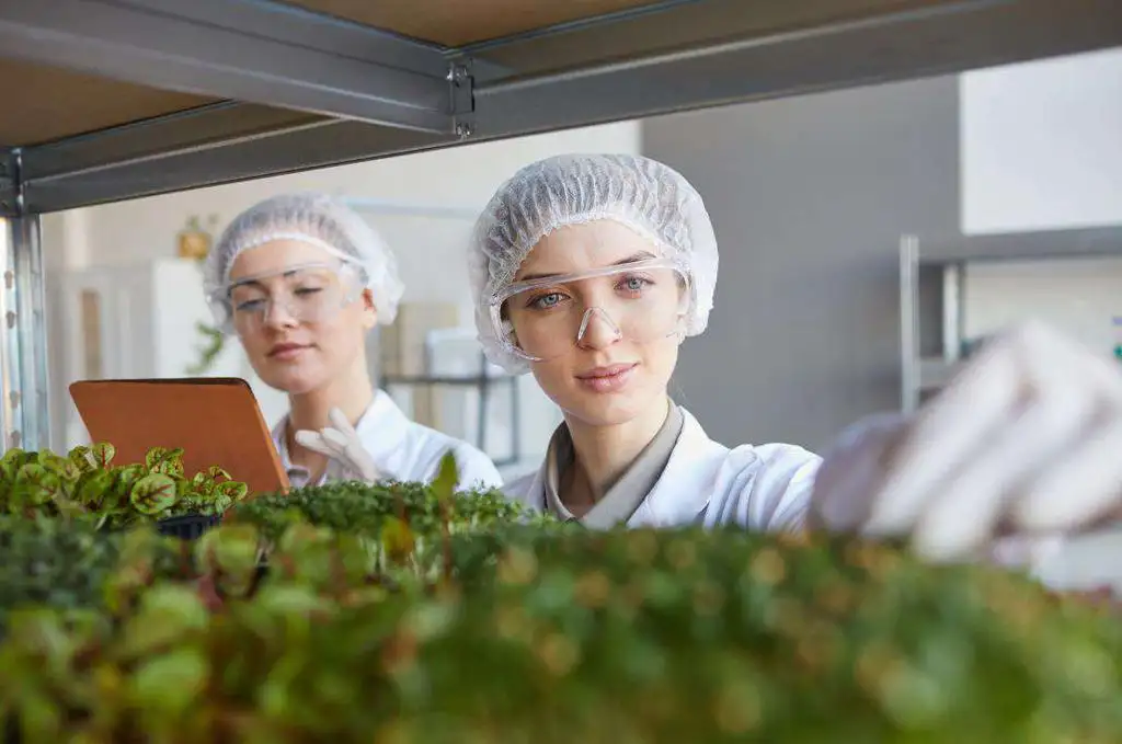 Poland: Gene Bank for Meadow and Farming Plants