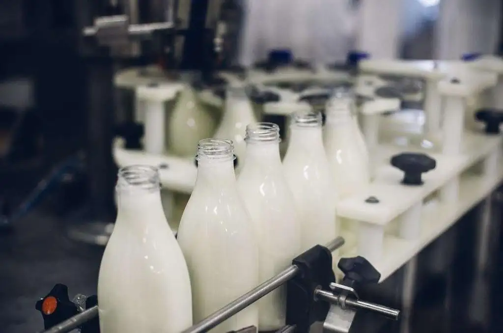 World: US allows bulk milk testing for bird flu before cattle transport