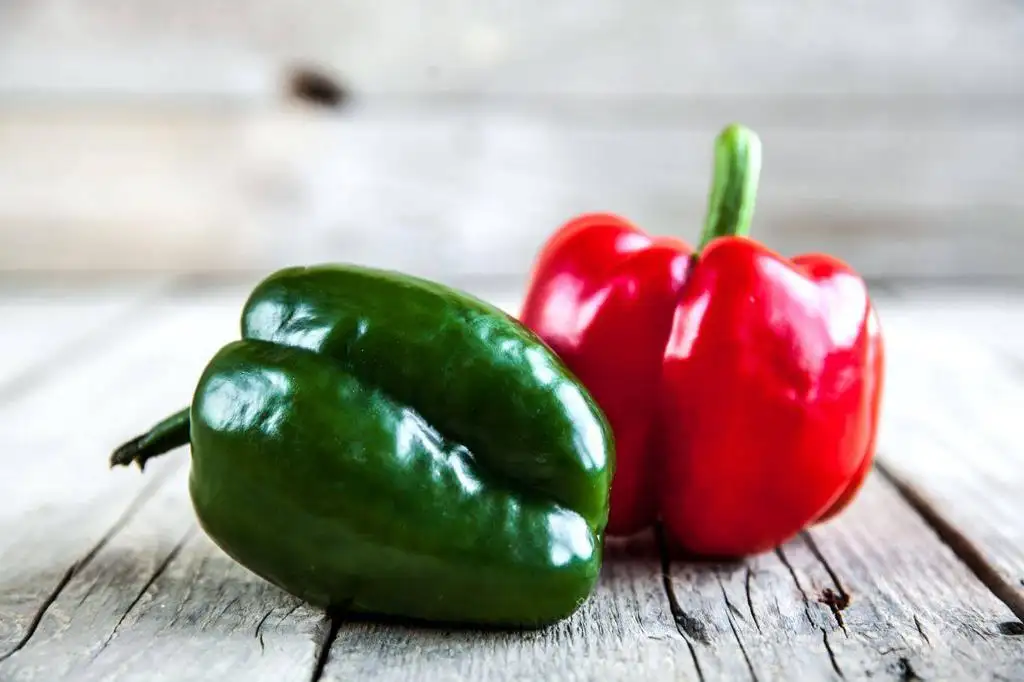 Morocco: Paprika production