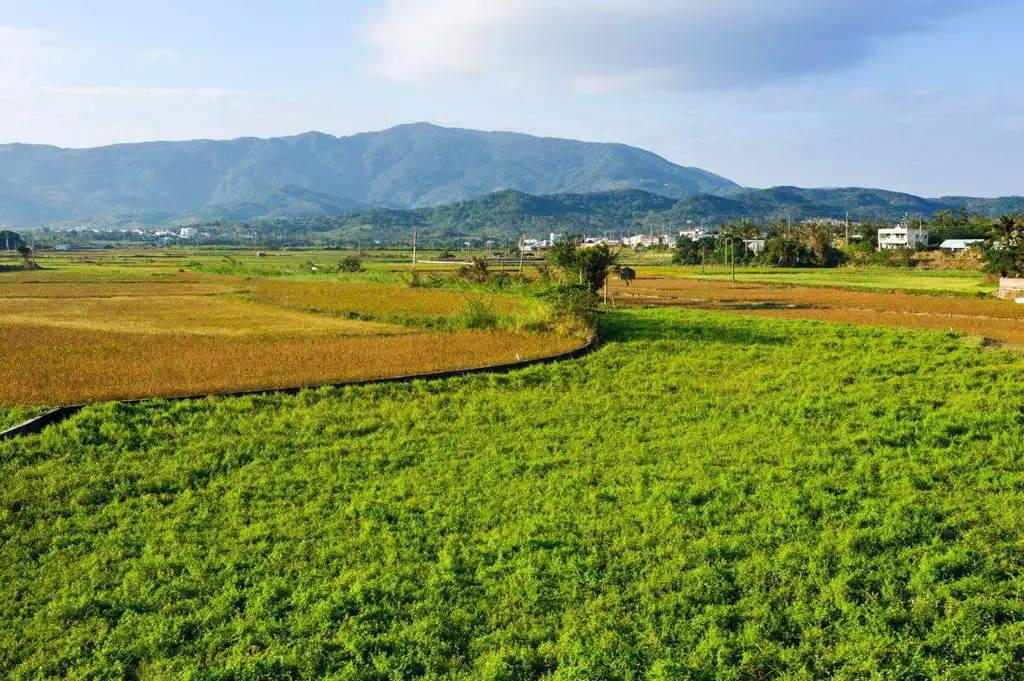 USA: Rising farmland values – nationwide