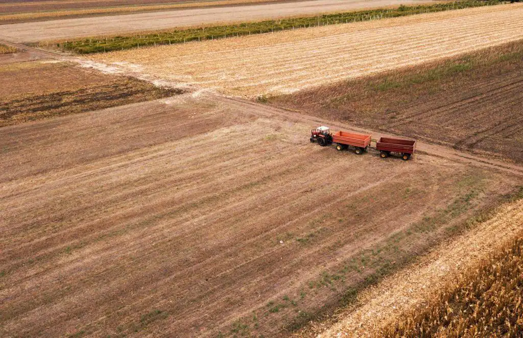USA: Produkcja rolna w stanie Waszyngton znów osiągnęła wartość 10 ...