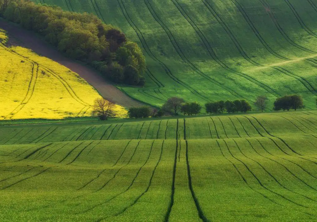 USA: What lies ahead for farmland market in 2022?